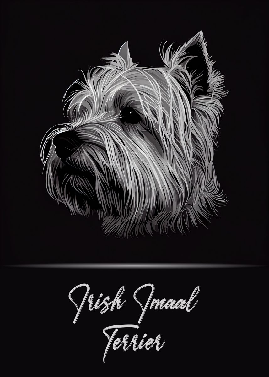 'Irish Imaal Terrier' Poster, picture, metal print, paint by Artistic Paradigms | Displate