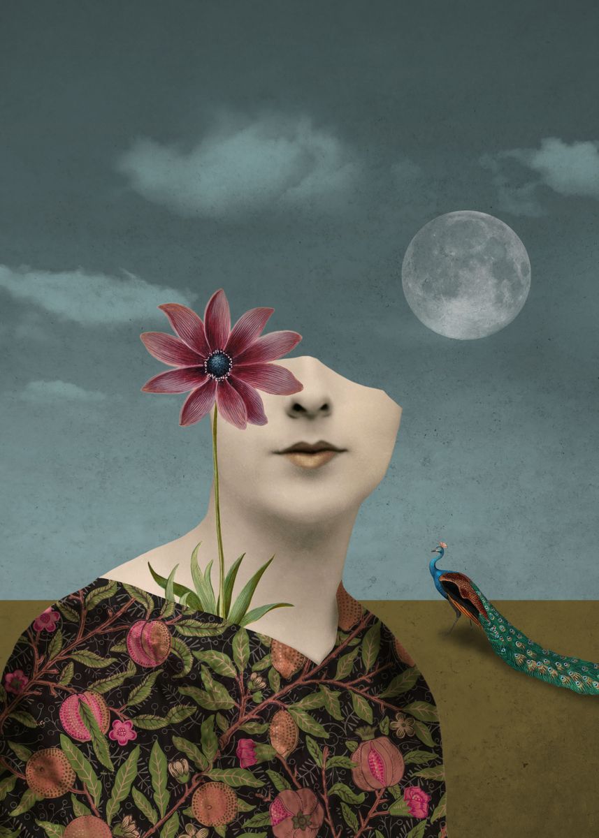 'Lady Peacock' Poster, picture, metal print, paint by Somnambulistika ...