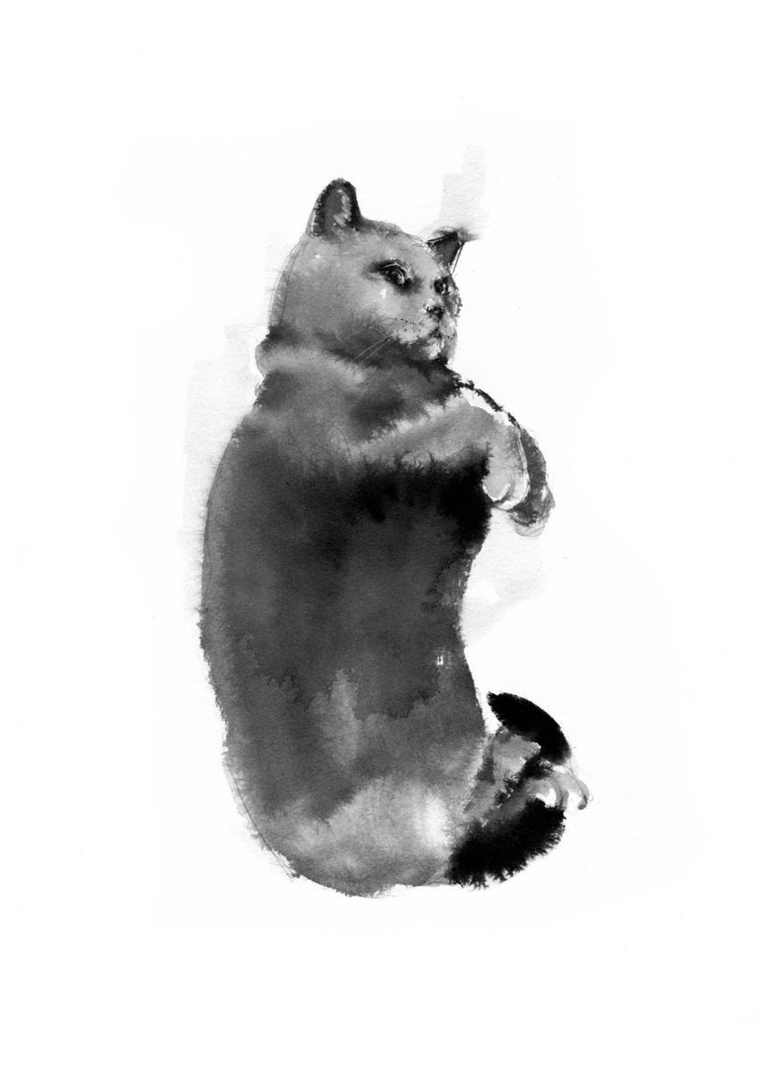 'Cat 2' Poster, picture, metal print, paint by Doriana Popa | Displate