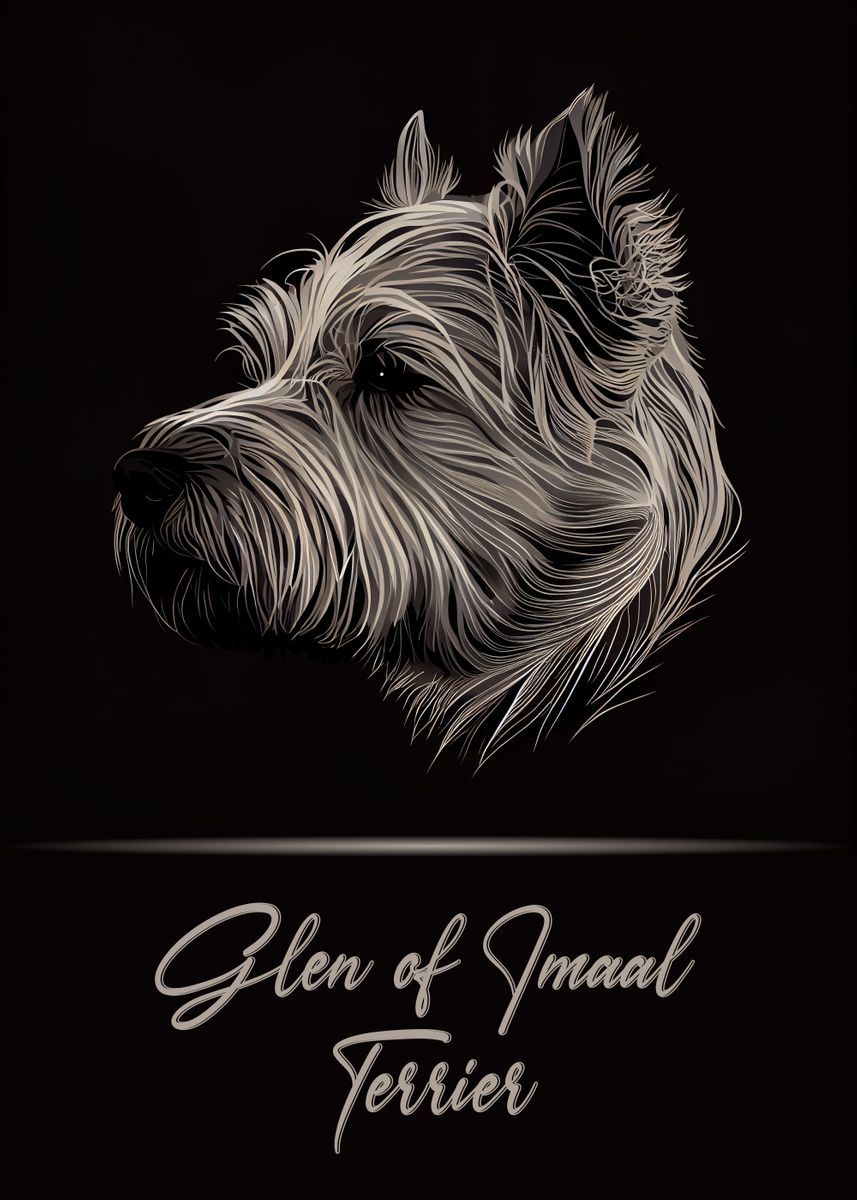 'Glen of Imaal Terrier' Poster, picture, metal print, paint by Artistic Paradigms | Displate