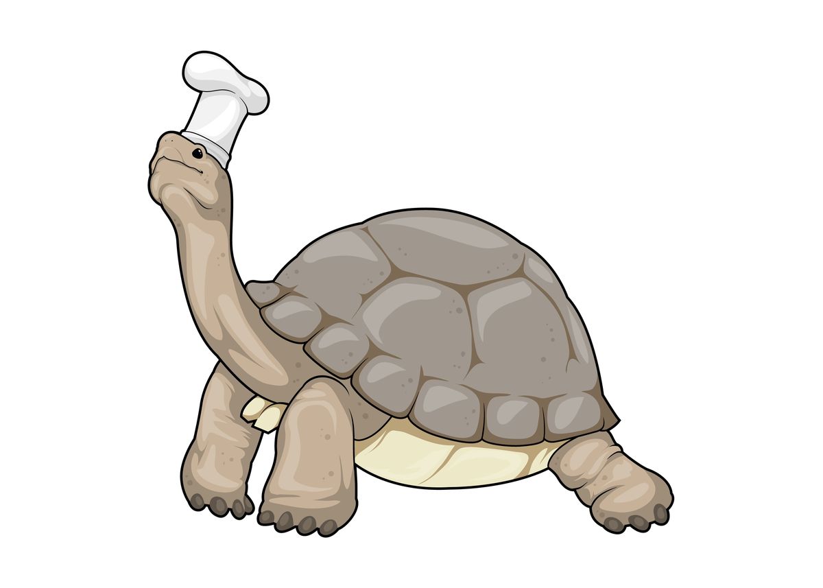 'Turtle Cook Chef hat' Poster by Markus Schnabel | Displate