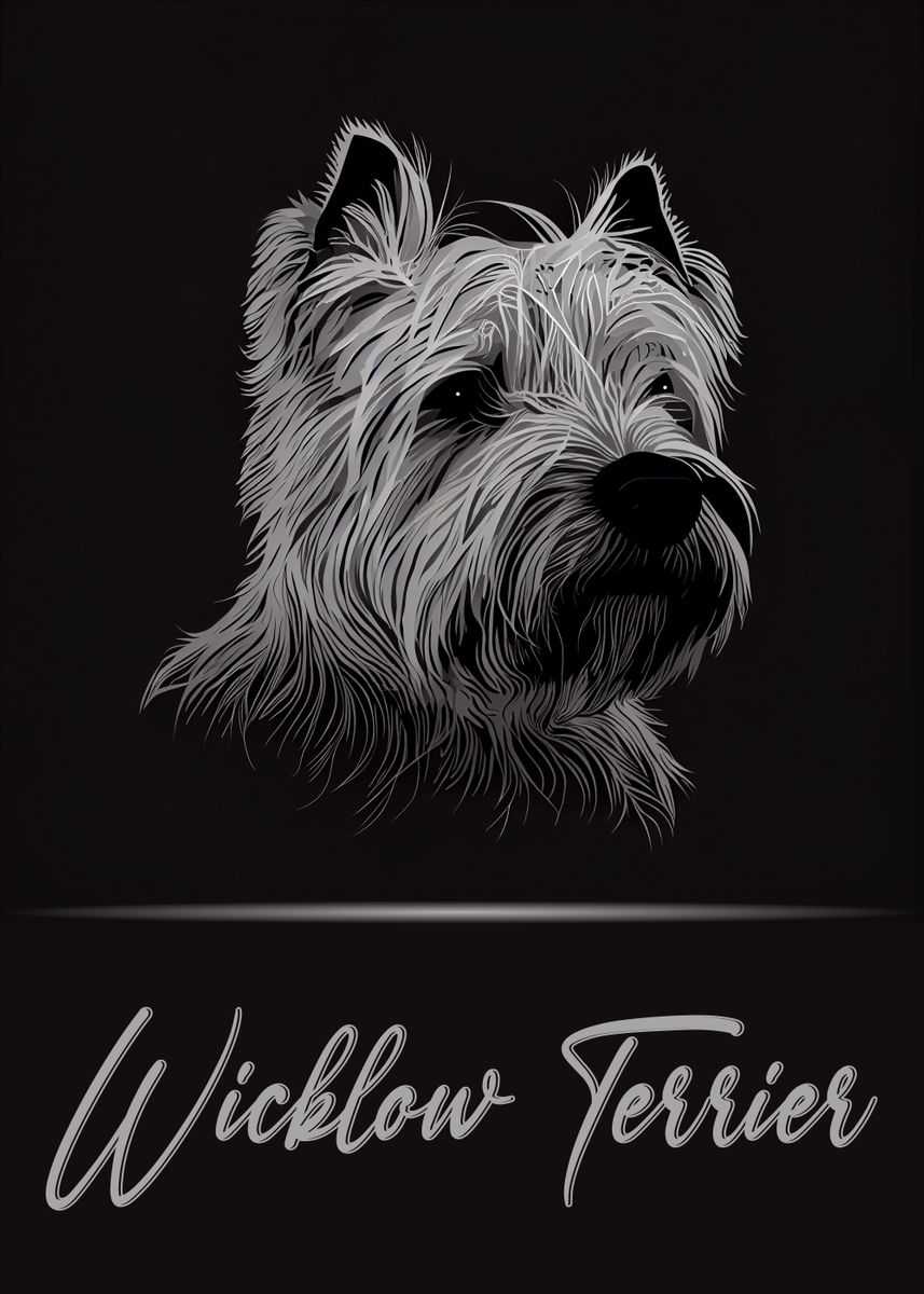 'Wicklow Terrier' Poster, picture, metal print, paint by Artistic Paradigms | Displate