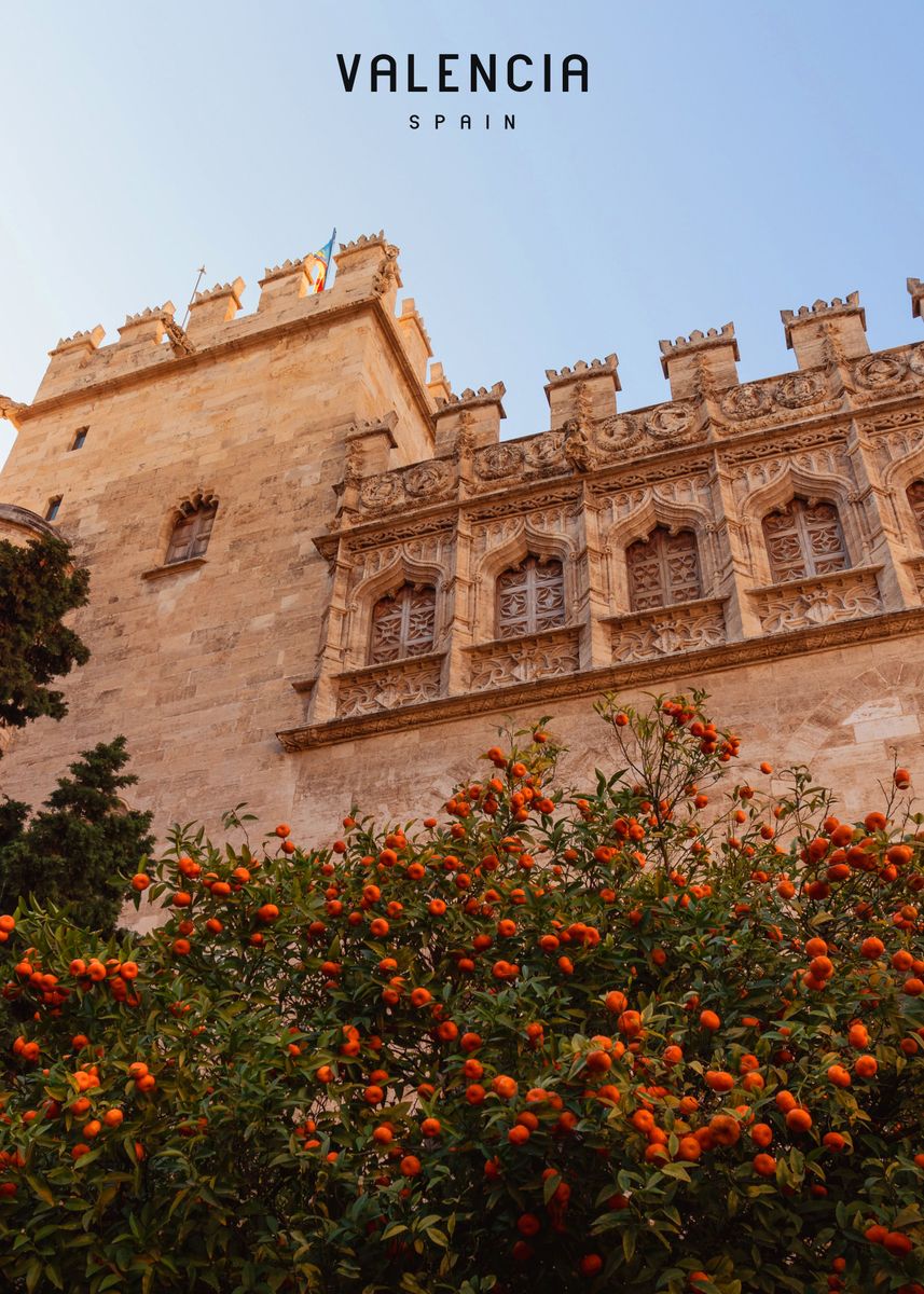 'Valencia ' Poster, picture, metal print, paint by Famous City | Displate