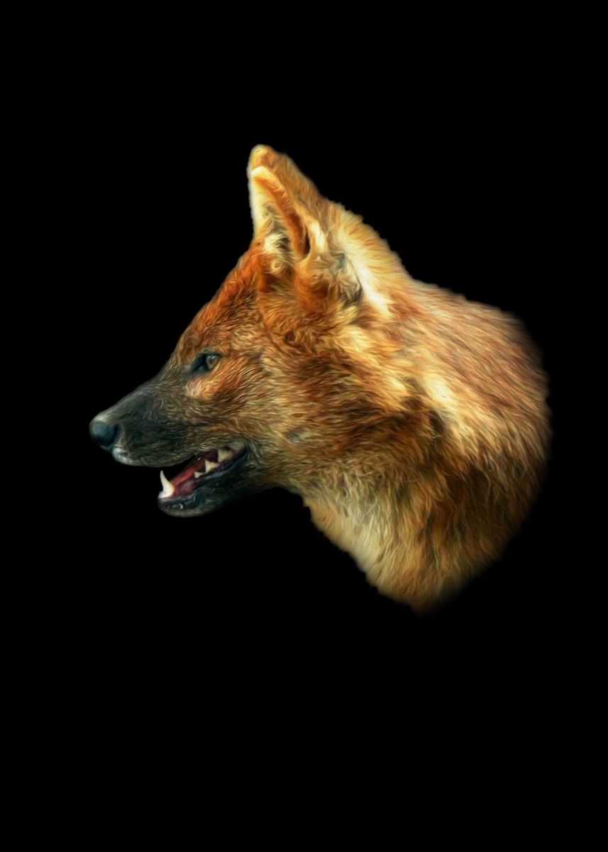 'Asian wild dog' Poster, picture, metal print, paint by Gyula Gvardián ...