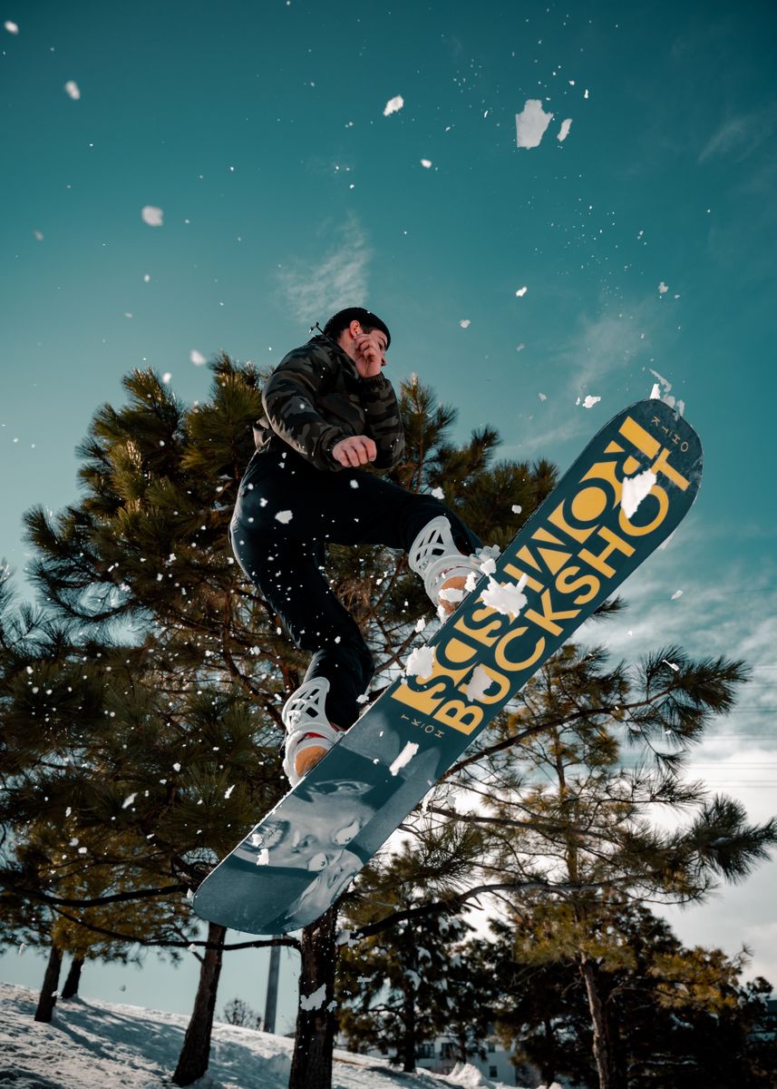 'Snowboarding Action' Poster, picture, metal print, paint by Stephen ...