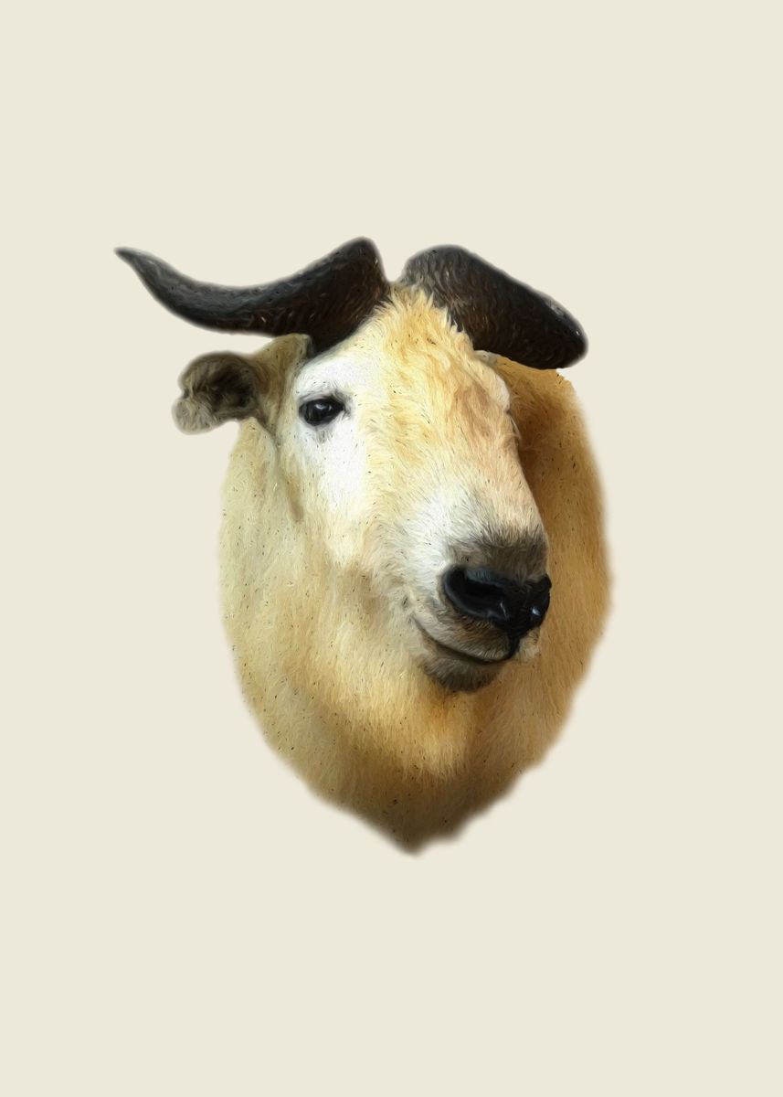 'Takin portrait' Poster, picture, metal print, paint by Gyula Gvardián ...