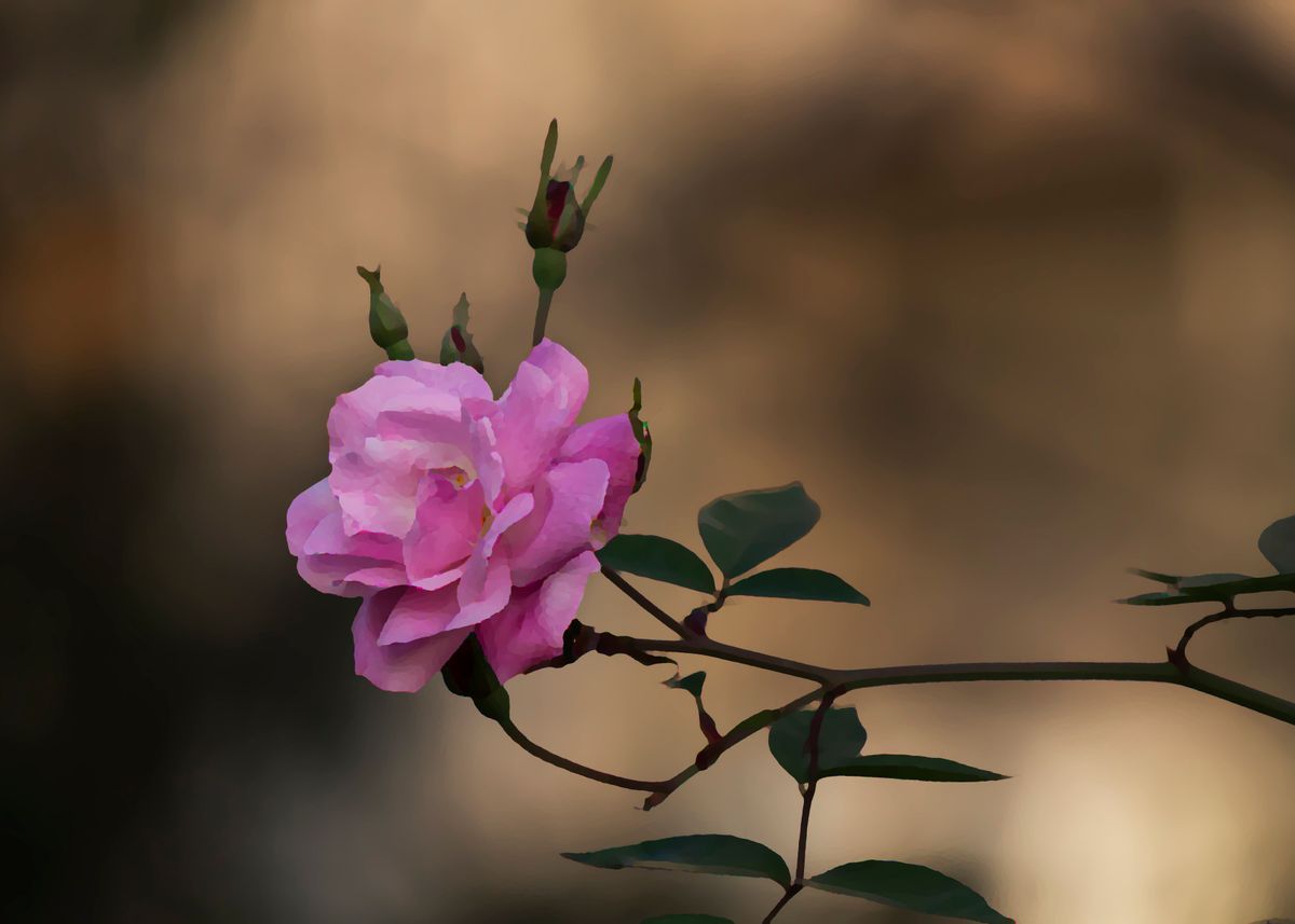 'Rose' Poster by HanPing Tseng | Displate