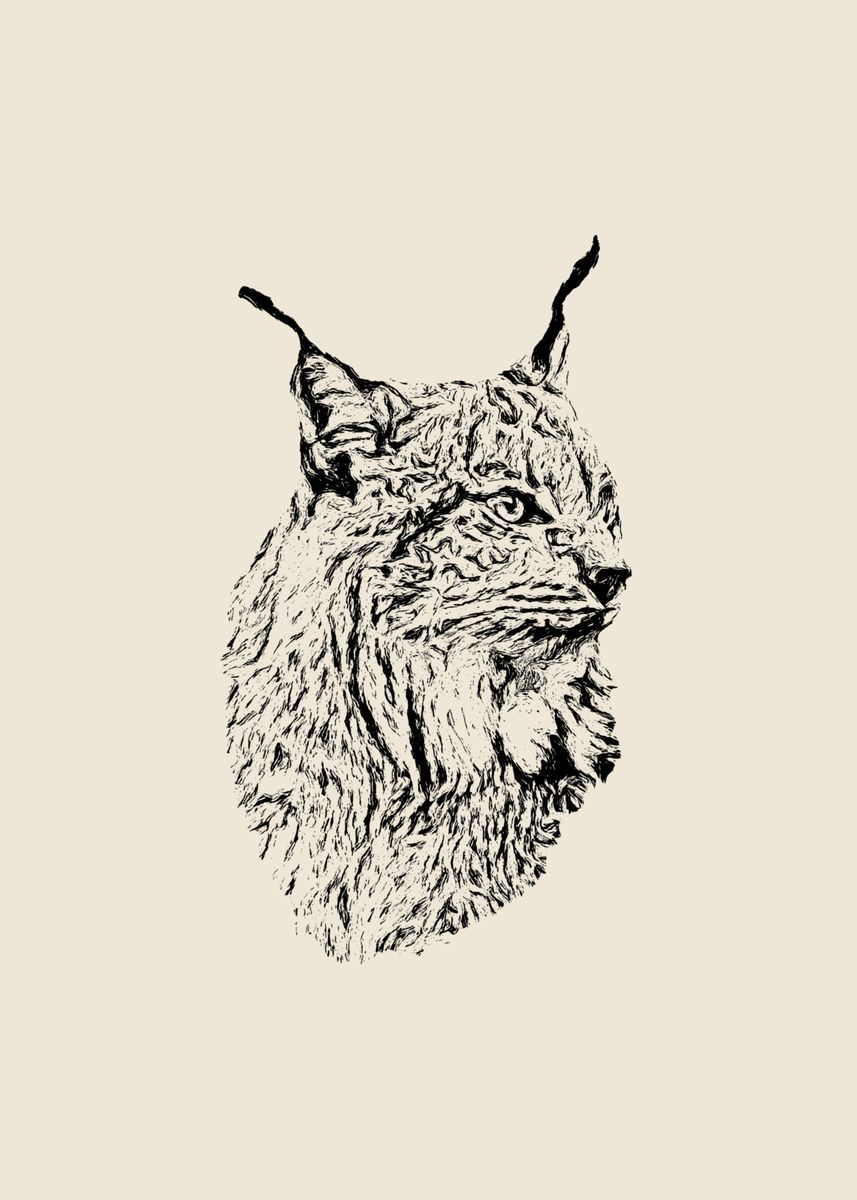 'Lynx portrait' Poster, picture, metal print, paint by Gyula Gvardián ...