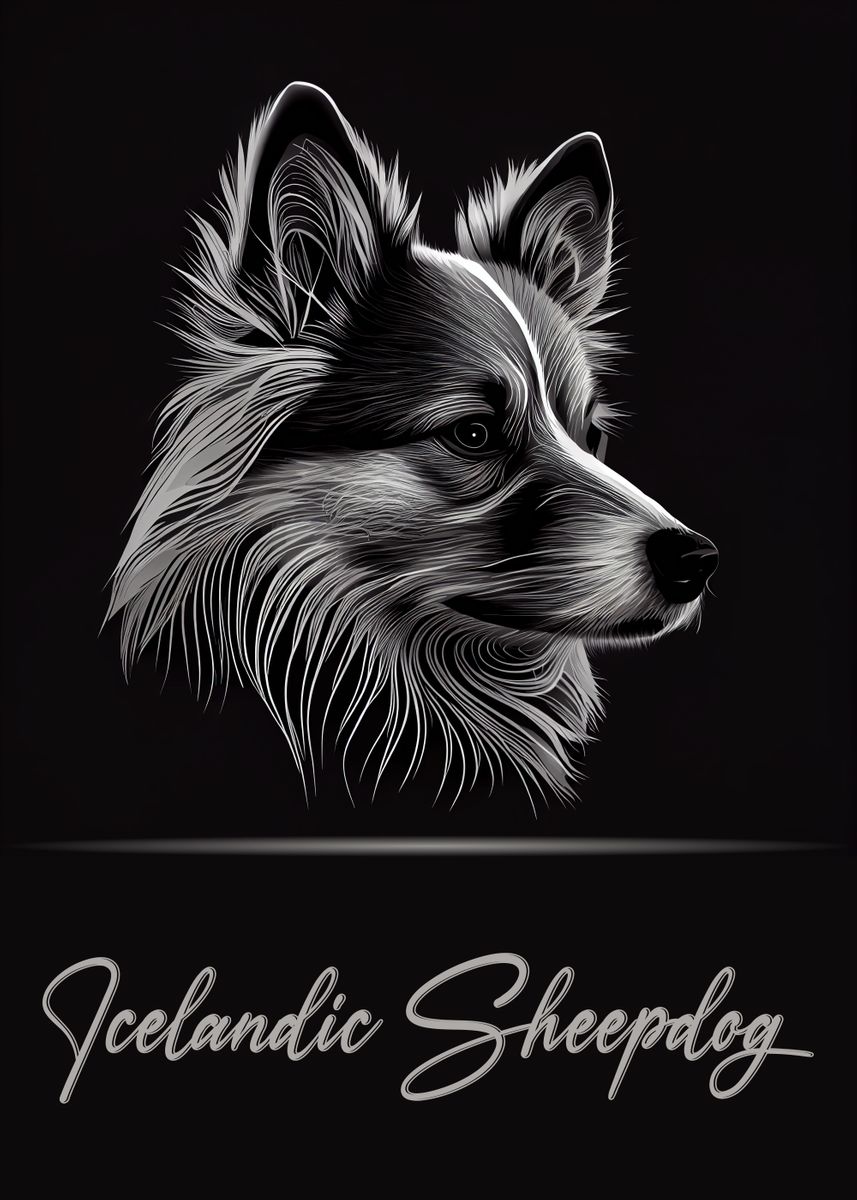 'Elegant Icelandic Sheepdog' Poster, picture, metal print, paint by ...