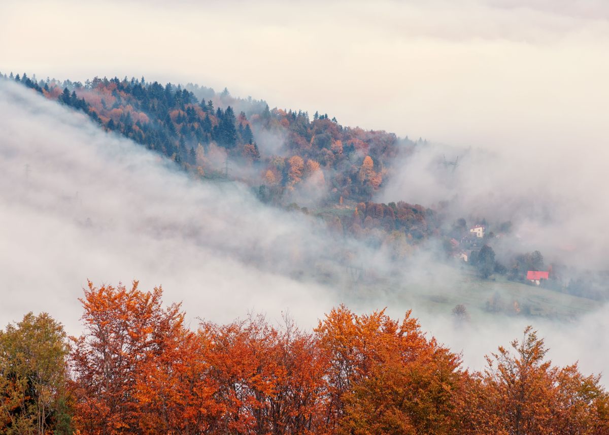 'Foggy autumn morning ' Poster by anettastar | Displate