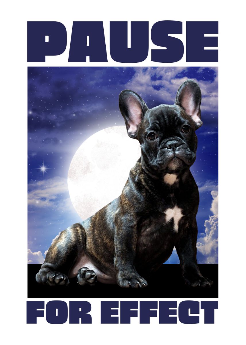 'Dog Pause for effect ' Poster, picture, metal print, paint by My ...