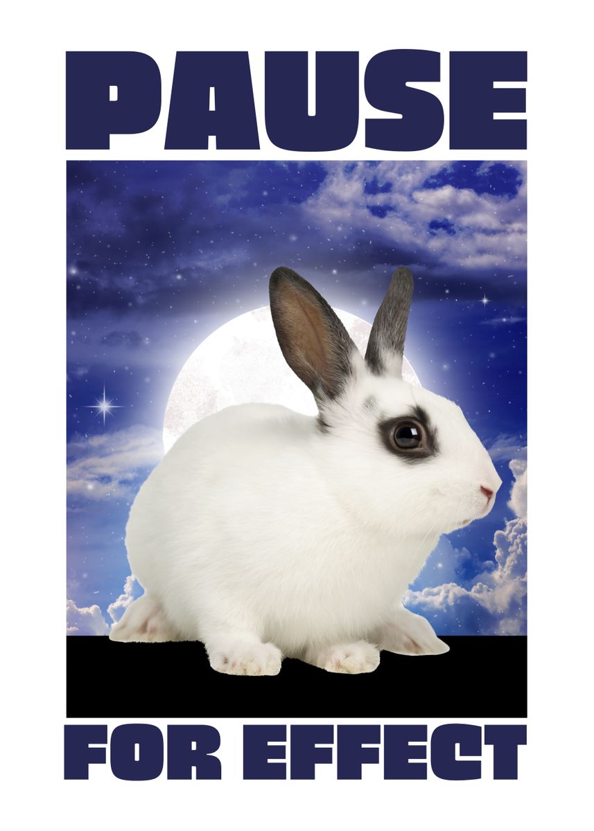 'rabbit Pause for effect ' Poster, picture, metal print, paint by My ...