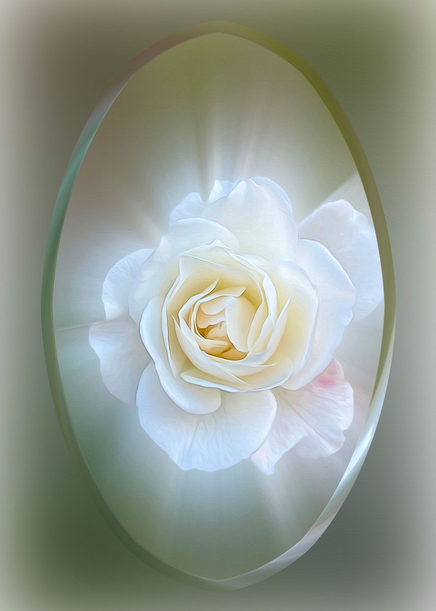 'White Rose' Poster, picture, metal print, paint by Marinela Feier ...