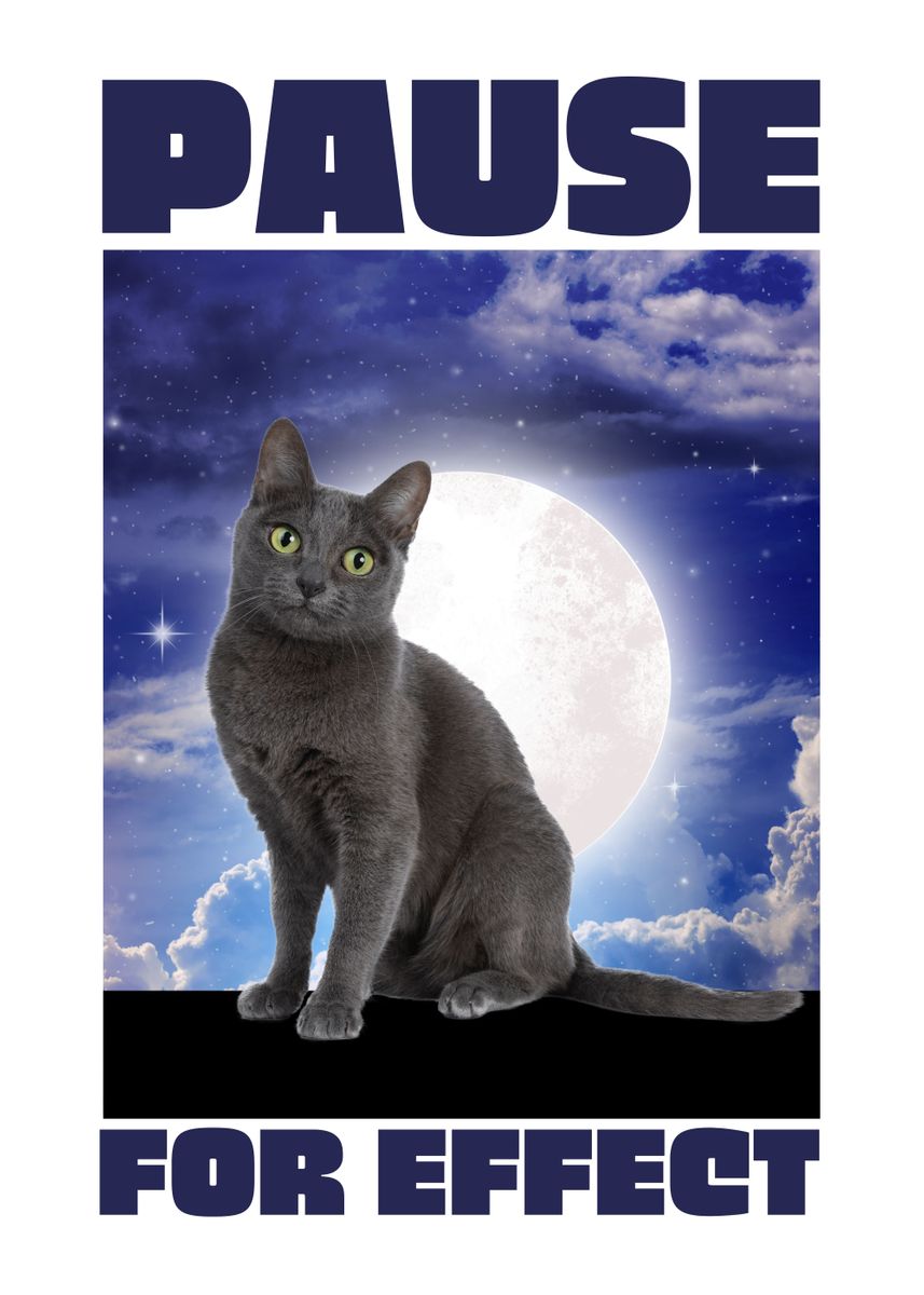 'Cat Pause for effect ' Poster, picture, metal print, paint by My ...