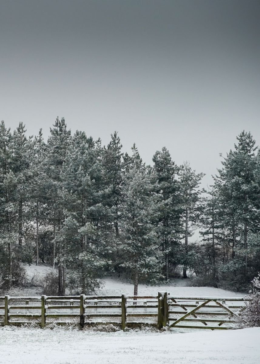 'Winter Landscape' Poster, picture, metal print, paint by David Green ...