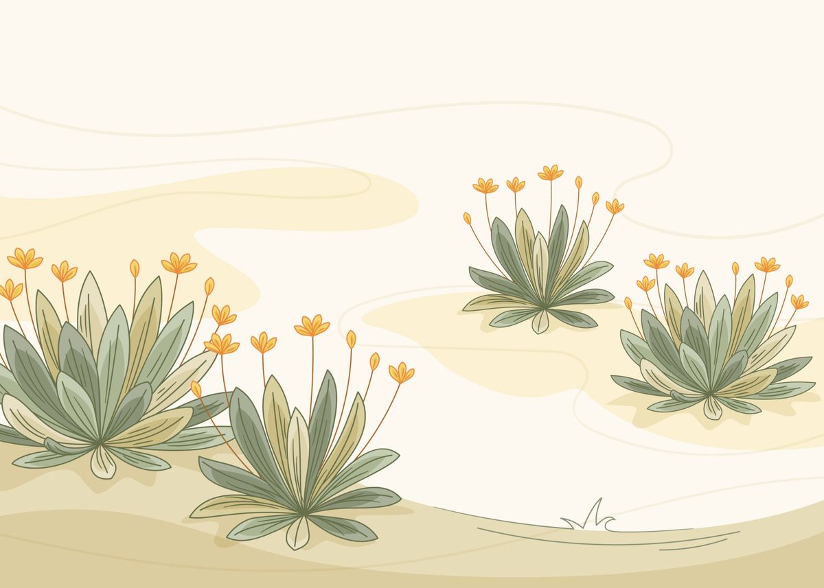 'Frailejon plant' Poster by Artistic Shop | Displate