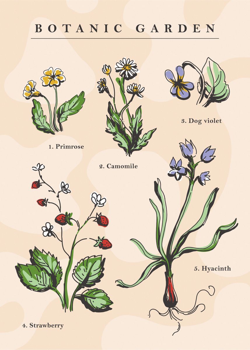 'Plants Botanic Garden' Poster, picture, metal print, paint by ...