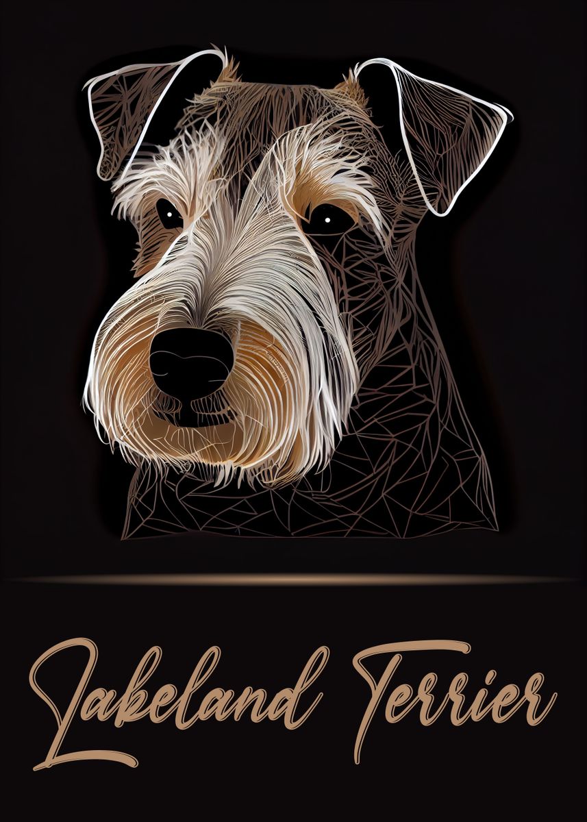 'Lakeland Terrier' Poster, picture, metal print, paint by Artistic Paradigms | Displate