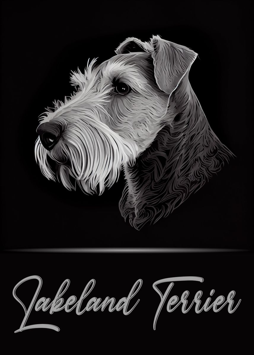 'Elegant Lakeland Terrier' Poster, picture, metal print, paint by Artistic Paradigms | Displate