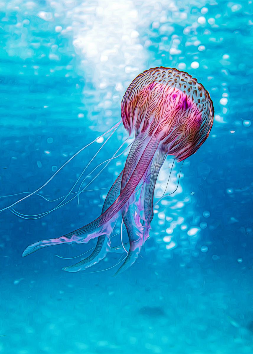 'Octopus' Poster, picture, metal print, paint by Tiker Arts | Displate