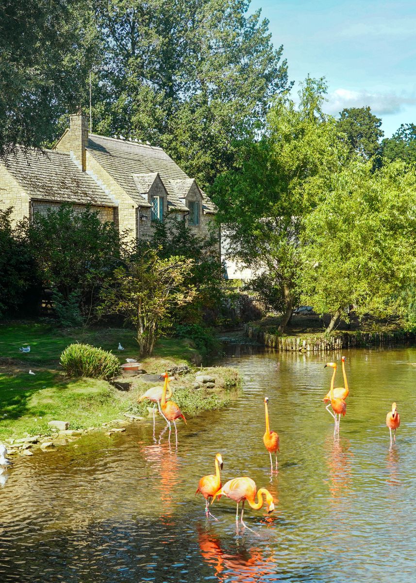 'Flamingo landscape' Poster, picture, metal print, paint by David Green ...