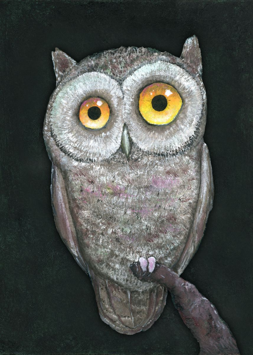 'Funny owl' Poster, picture, metal print, paint by Bianca Wisseloo ...