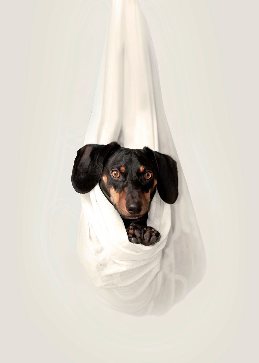 'Dog' Poster, picture, metal print, paint by DombaHitam Studio | Displate