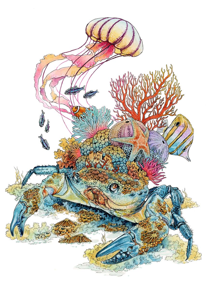 'Crab Undersea ' Poster, picture, metal print, paint by Léa Chaillaud ...