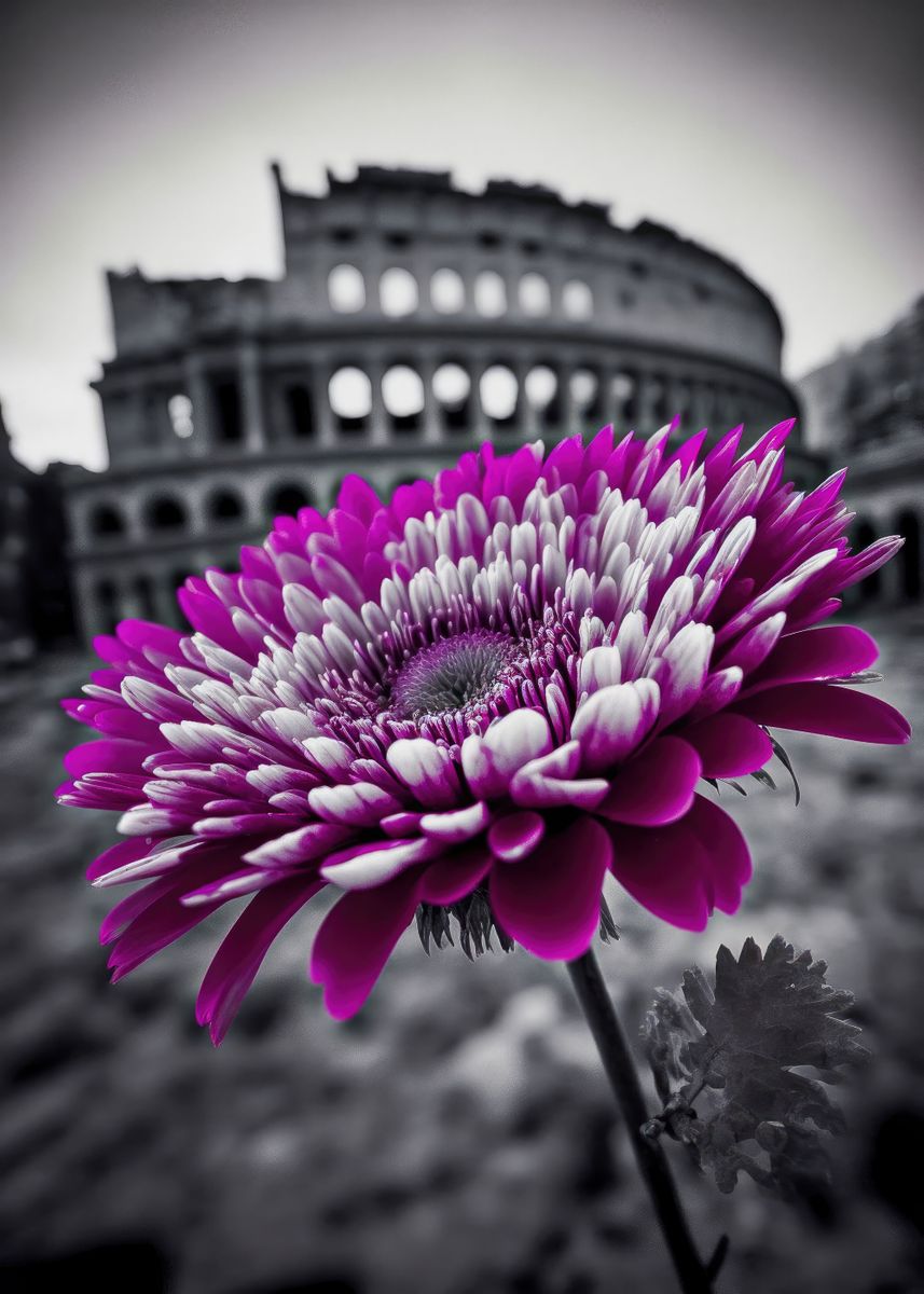 'Purple Flower Colosseum' Poster, picture, metal print, paint by ...