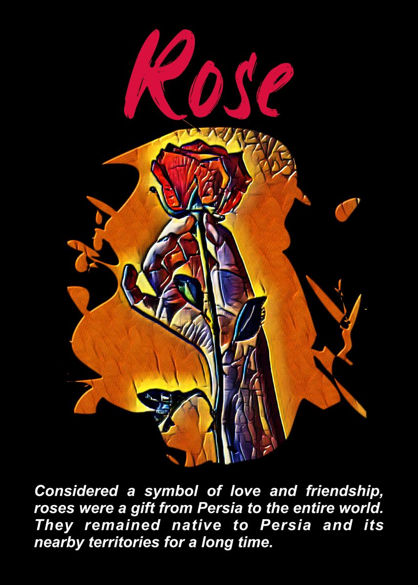 'Rose Flower' Poster, picture, metal print, paint by Jon Polly | Displate