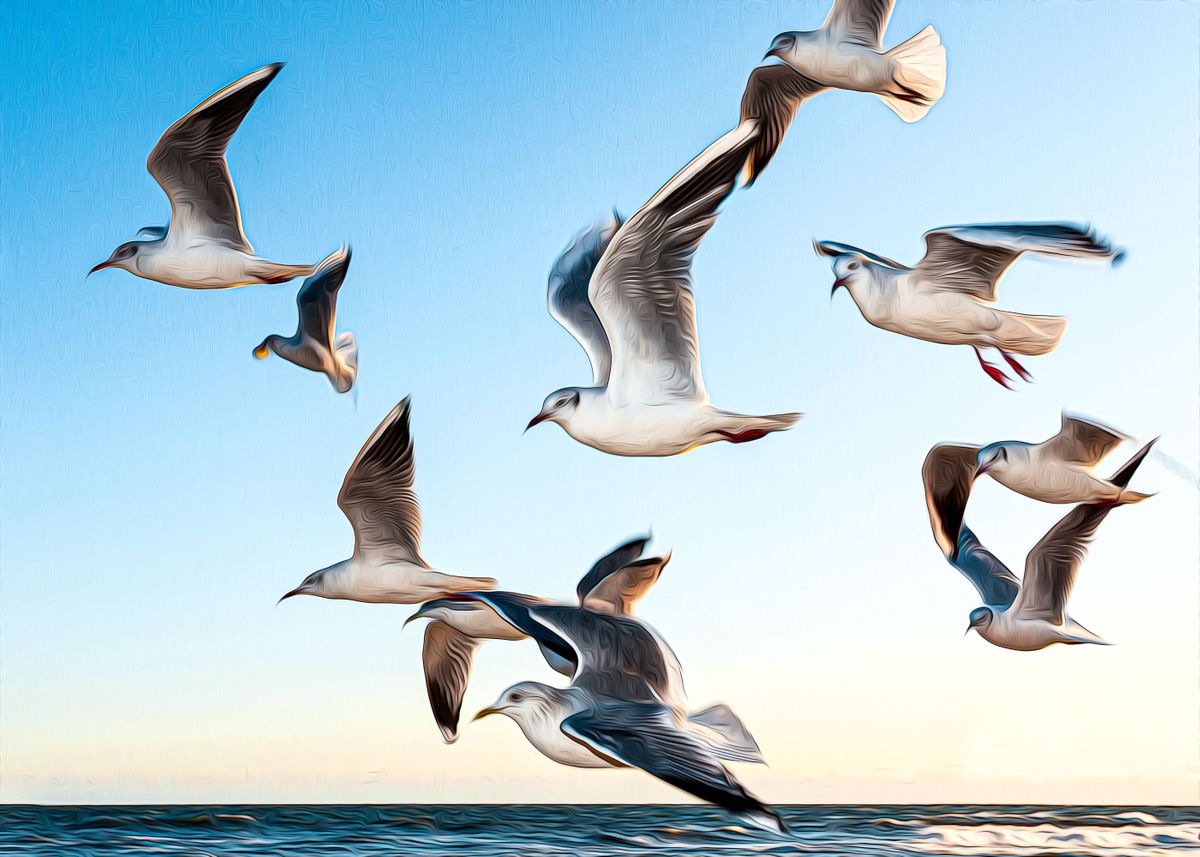 'Seagull' Poster by Tiker Arts | Displate