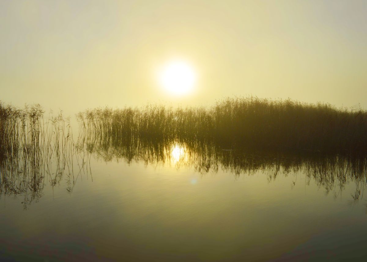 'Autumn lake sun reflection' Poster by Joanna ARTbyJWP | Displate