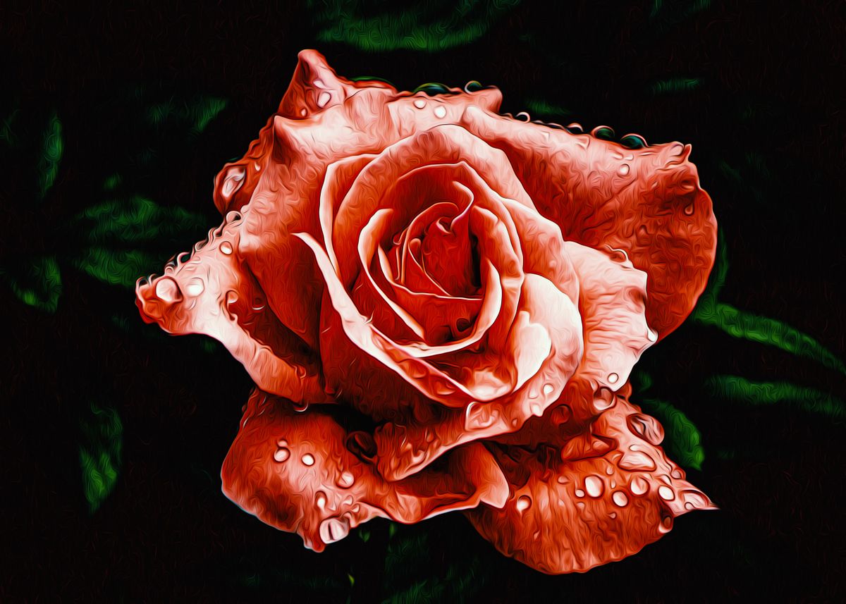 'Rose' Poster by Ties Rosi | Displate