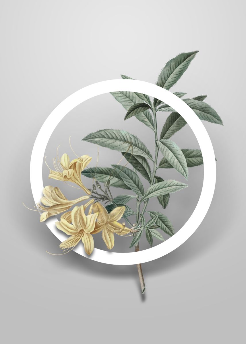 'Yellow Azalea Flower Art' Poster, picture, metal print, paint by Holy ...