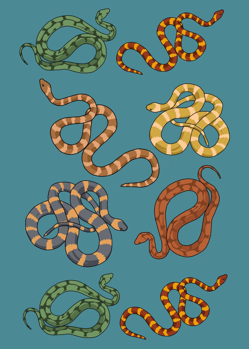 'Snake Owner Gift Kids ' Poster, picture, metal print, paint by ...