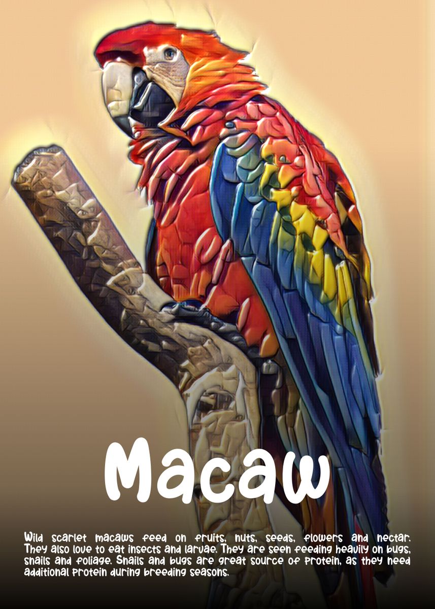 'Macaw' Poster, picture, metal print, paint by Jon Polly | Displate