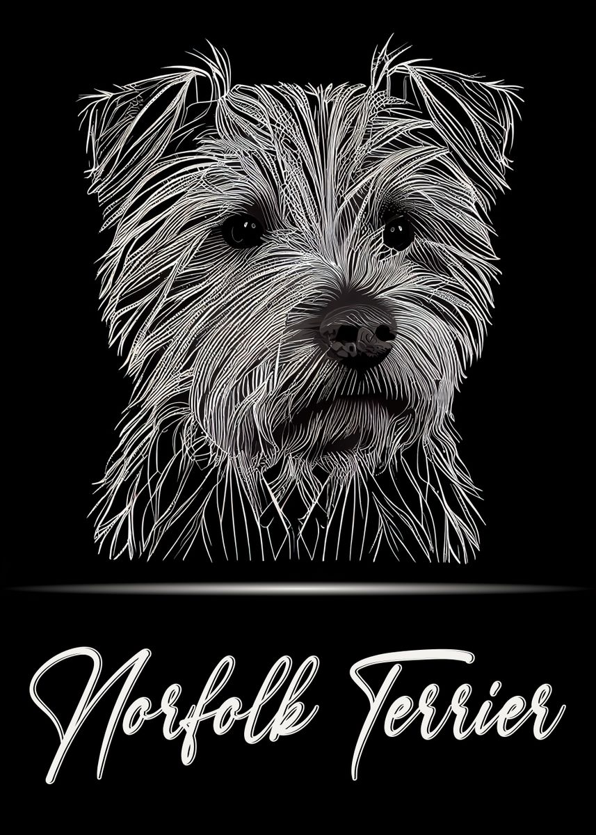 'Norfolk Terrier' Poster, picture, metal print, paint by Artistic Paradigms | Displate
