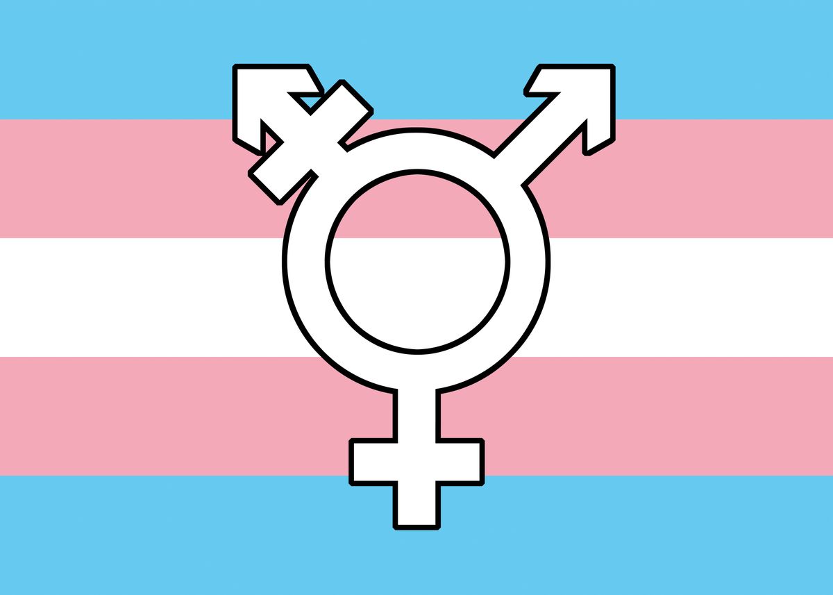 'Transgender Flag + Symbol' Poster by Bruce Stanfield | Displate