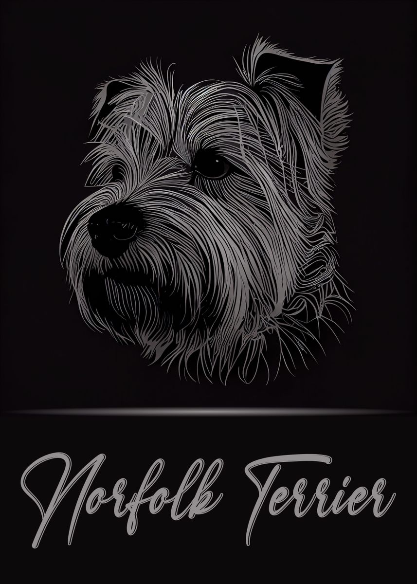 'Elegant Norfolk Terrier' Poster, picture, metal print, paint by Artistic Paradigms | Displate