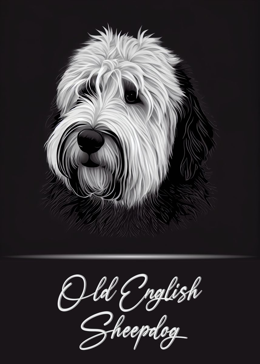 'Old English Sheepdog' Poster, picture, metal print, paint by Artistic ...