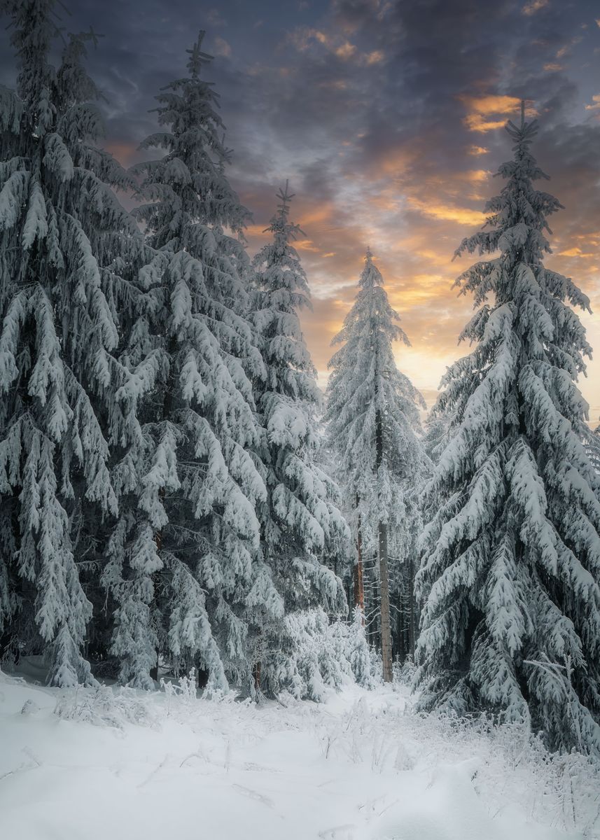 'Moody winter' Poster, picture, metal print, paint by Stefan Becker ...