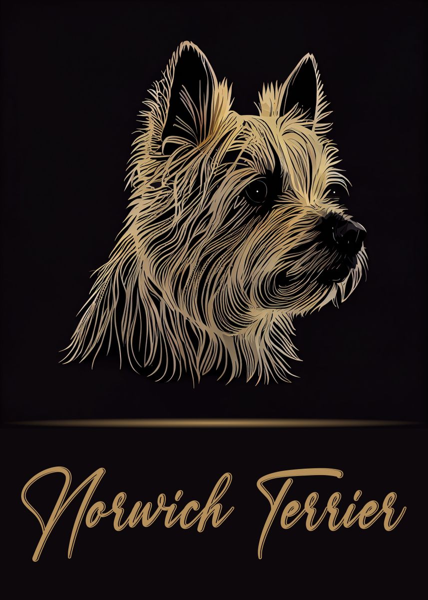 'Elegant Norwich Terrier' Poster, picture, metal print, paint by Artistic Paradigms | Displate
