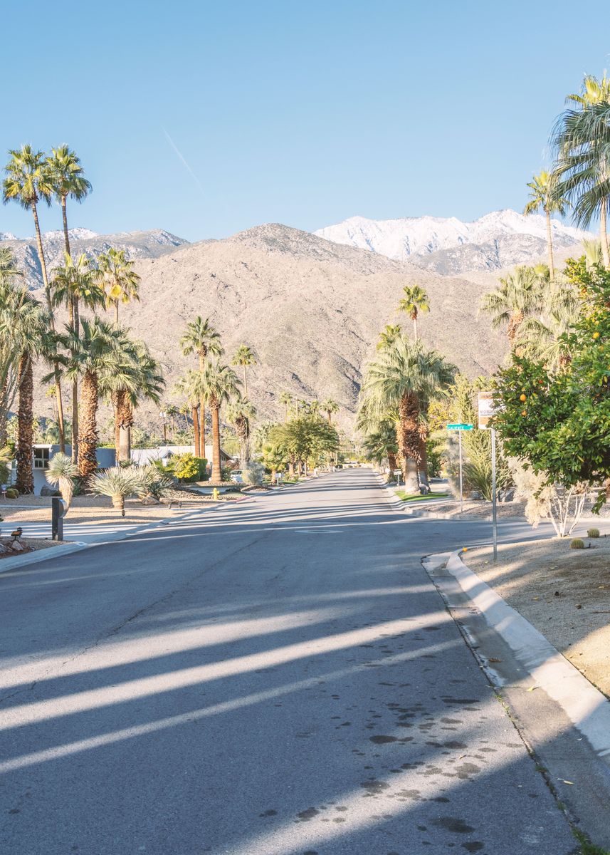 'Palm Springs California' Poster by anthony Londer | Displate