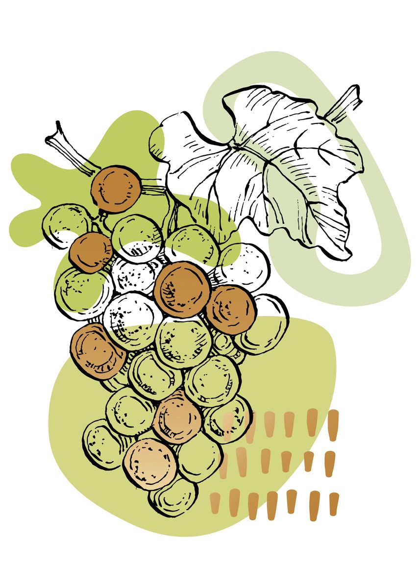 'Grape' Poster, picture, metal print, paint by Samira Yanushkova | Displate