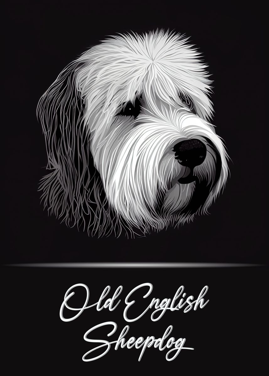 'Old English Sheepdog' Poster, picture, metal print, paint by Artistic Paradigms | Displate
