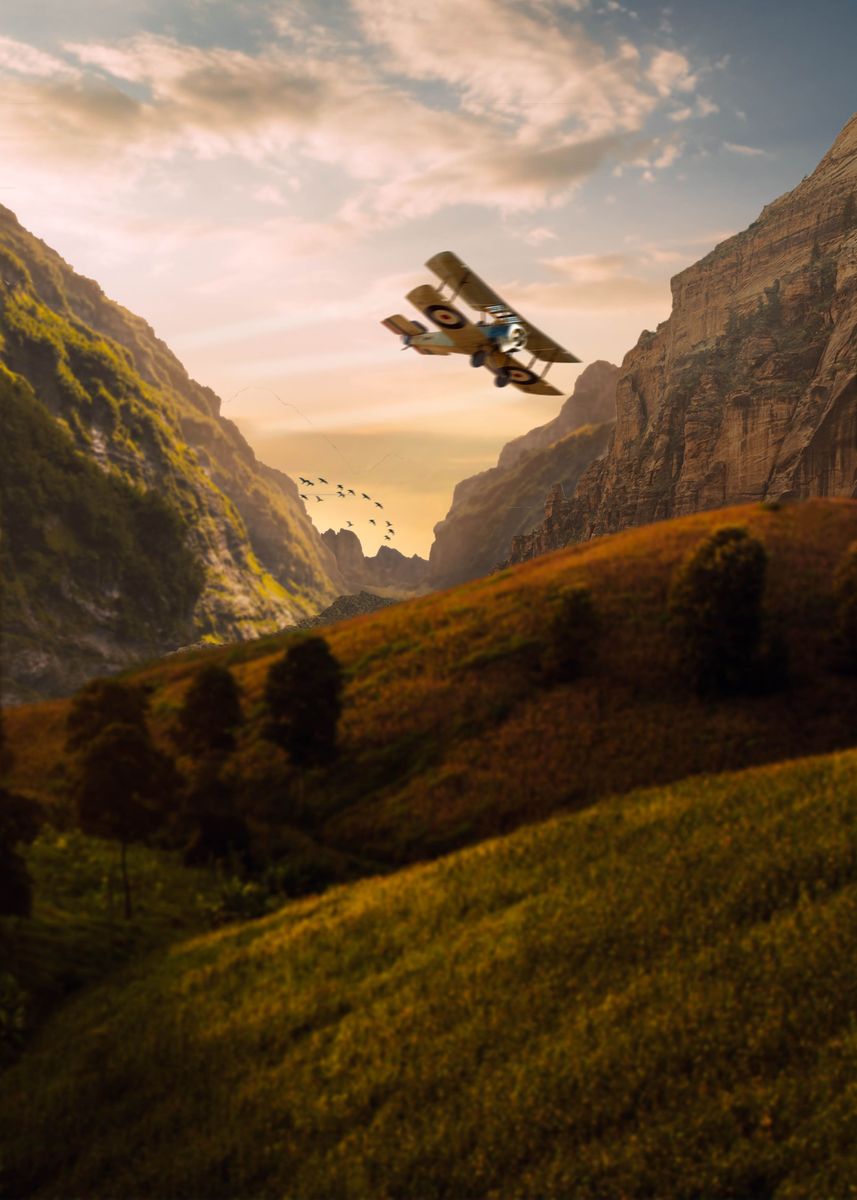 'Sunset Flight' Poster, picture, metal print, paint by Shaheen Khan ...