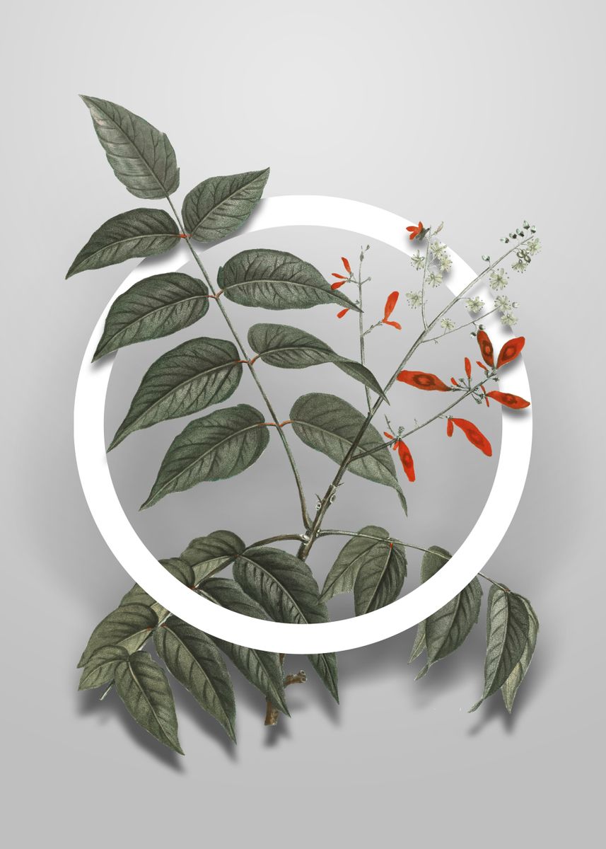 'Tree of Heaven Flower Art' Poster, picture, metal print, paint by Holy ...