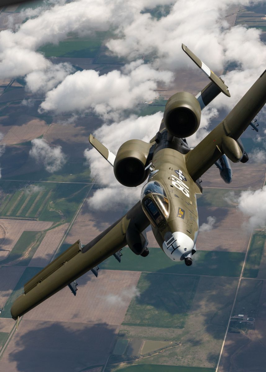 'Heritage Hawg' Poster, picture, metal print, paint by Galaxy Images ...