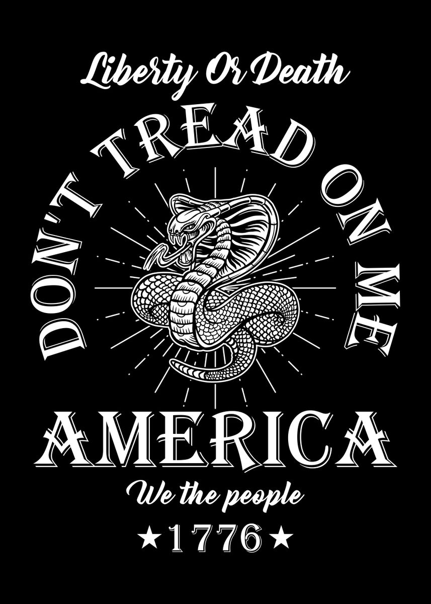 'America' Poster, picture, metal print, paint by crbn design | Displate