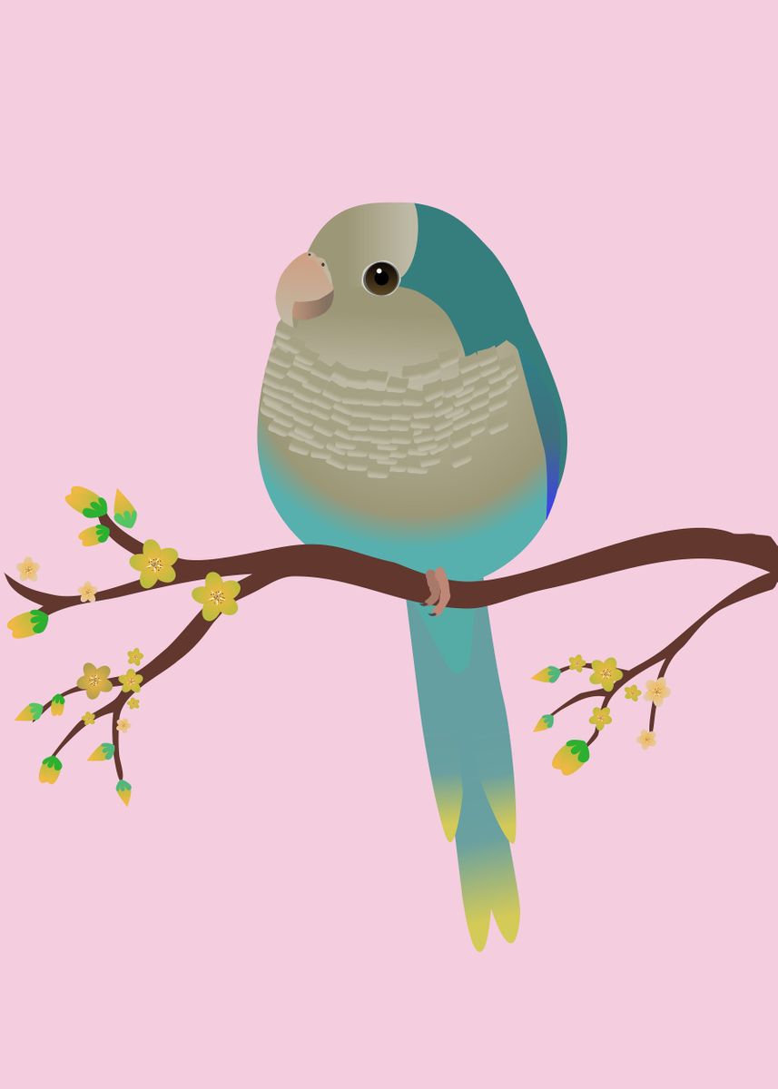 'Cute blue quaker parrot ' Poster, picture, metal print, paint by ...